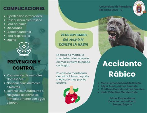 Folleto De Accidente Rabico De Jardinería Y Cuidado De Plantas