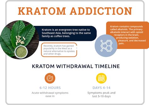 How Long Does Kratom Last In Your Body Northern Illinois