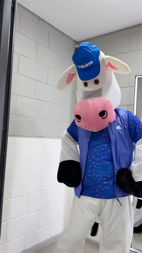 Milky Moo Partage Campina Grande Milkymoopartagecampina • Instagram