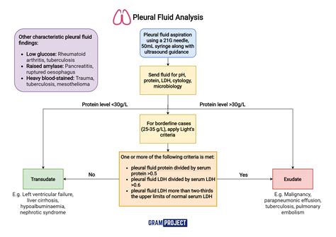 Flowchart To Interpreting Pleural Fluid Analysis Using Grepmed