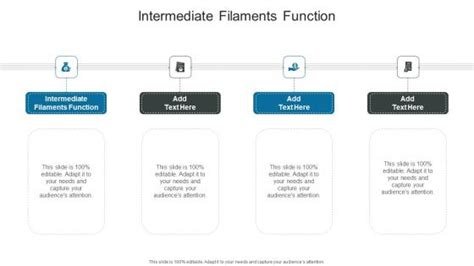 Intermediate Filaments Function Powerpoint Templates Slides And Graphics