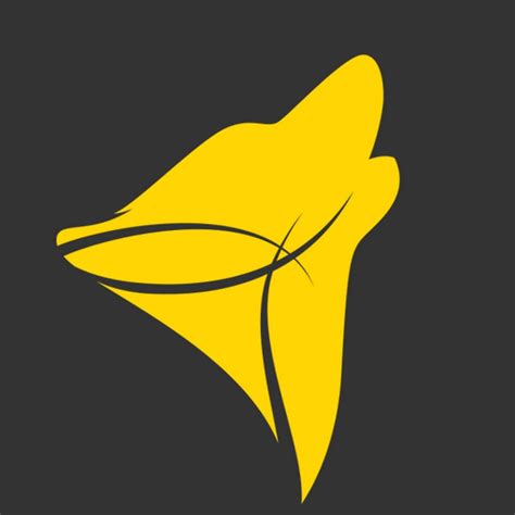 Pvs Solution Youtube