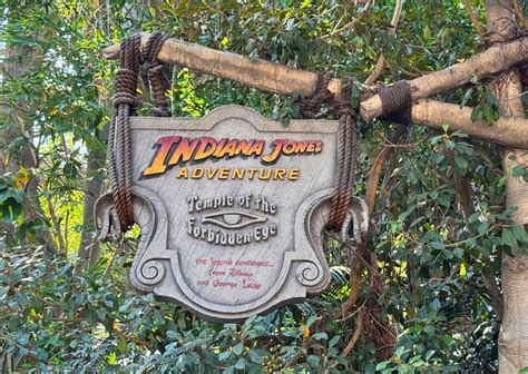 Pick Nine Rides Prioritize These Disneyland Attractions