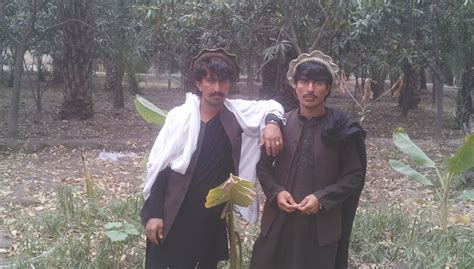 مخبت گونا نیست