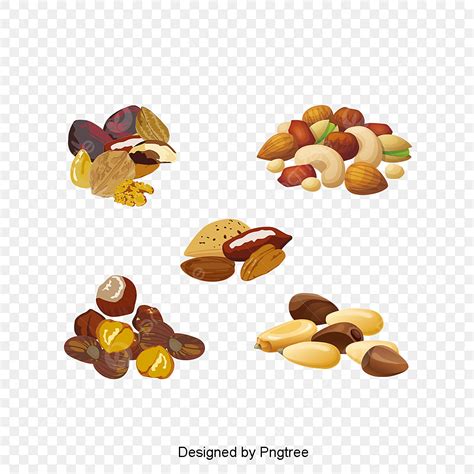 Assorted Nuts Cartoon