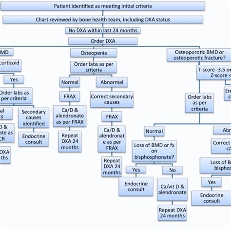Bone Health Team Algorithm Download Scientific Diagram