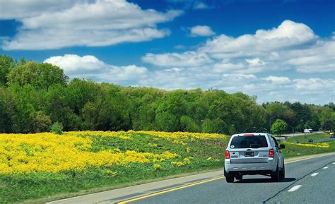 On The Road Again Does Transportation Infrastructure Provide Habitat
