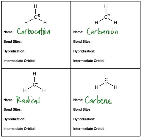 Hybridization Chain Reaction