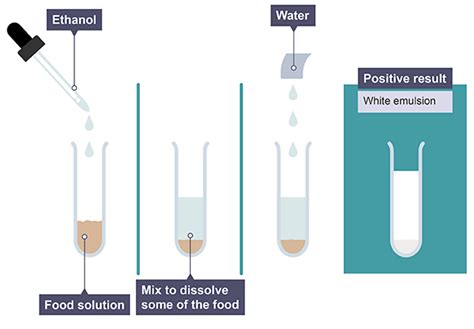 Diet Bbc Bitesize
