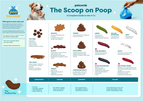 Pet Poo Chart Pet Better With Pet Circle