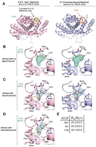 The Apo Structure Of The Leucine Sensor Sestrin2 Is Still Elusive Pmc