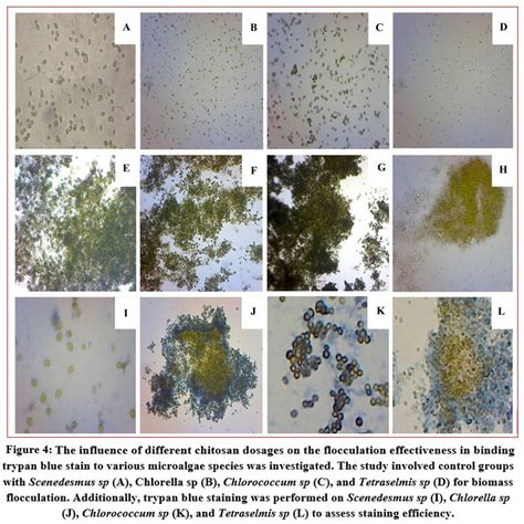 Biosciences Biotechnology Research Asia On Linkedin Bioflocculation