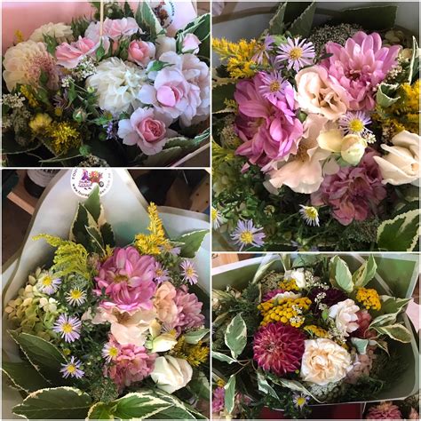 Lucille Rose Lucille Rose Added A New Photo — In