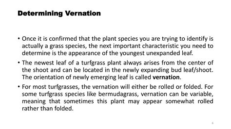 Introduction To Grasses Turfgrass Management Pdf