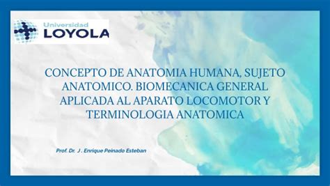 Tema Ii Concepto De Anatomia Genially