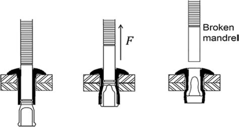 Schematic Of Blind Riveting [32] Download Scientific Diagram
