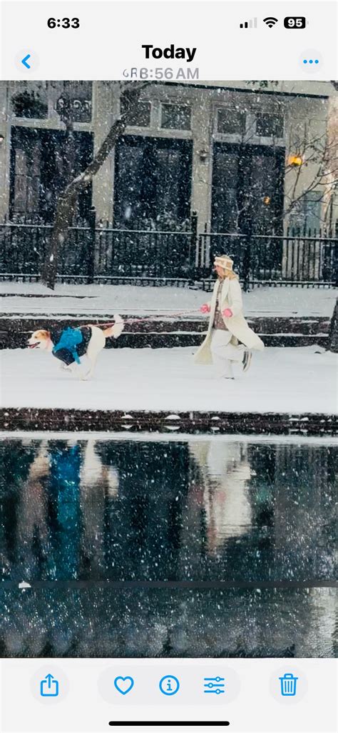 Mayte Sera Weitzman On Linkedin Thank You Houston Snow Blessings