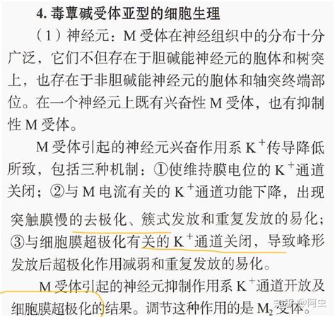 神经递质与受体 乙酰胆碱《神经科学》笔记5 1 知乎