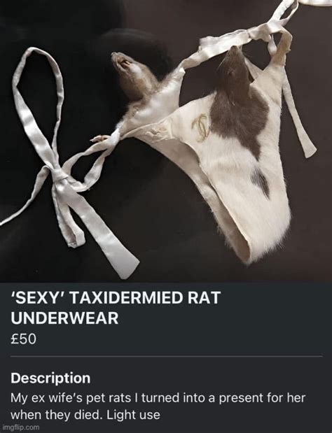 Rat G String Imgflip