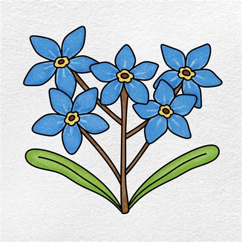 How To Draw A Forget Me Not Flower Step By Step