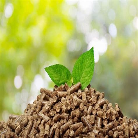 Forest Leves Pellets Products At ₹ 4500tonne Wood Pellets In
