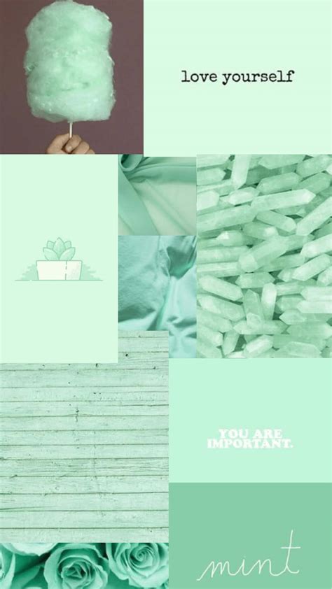 [200 ] Mint Green Backgrounds