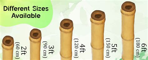 Homatz Bamboo Canes 2ft 3ft 4ft 5ft 6ft Heavy Duty Plant Support Garden