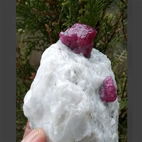 Ruby Specimen From Pakistan Arandagems