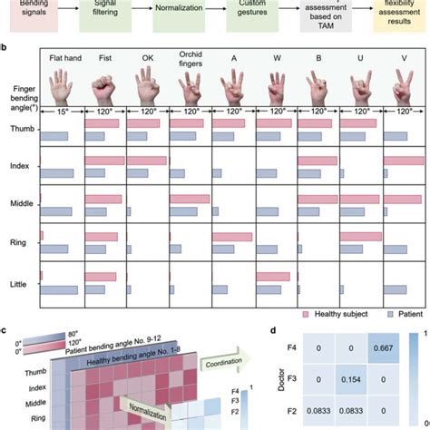 Finger Flexibility Assessment A The Process Of The Flexibility