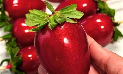 Procura Pelo “morango Do Amor” Tem Queda De 60 Em Campo Grande O