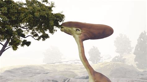 Tree Physics Animations Blender Artists Community