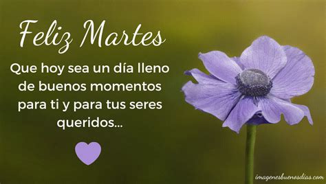 Imagenes De Buen Martes 100 Imágenes De Buenos Días Feliz Martes