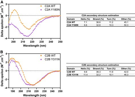 Circular Dichroism Spectroscopy Analysis Service Mtoz Biolabs