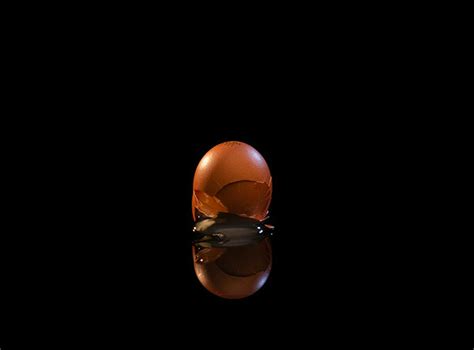Fertility On Behance