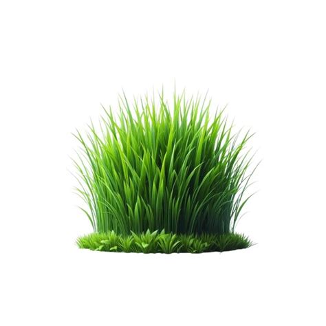 Grass Objects Vectors And Illustrations For Free Download Freepik