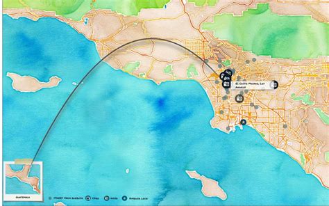Sonic Trace Mit Docubase