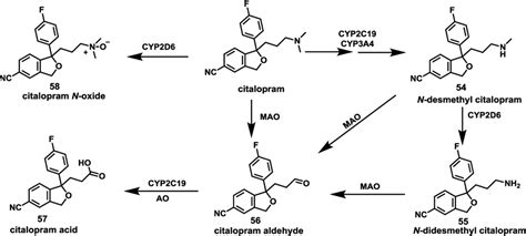 Metabolic Bioactivation Of Antidepressants Advance And Underlying