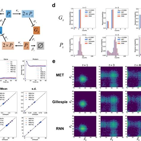 Solving The Time Dependent State Joint Distribution Of The Genetic