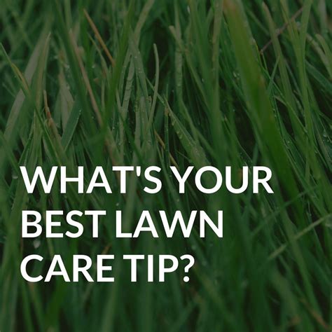 Kristina Zeleznik On Linkedin Lets Hear Your 🌱 Secrets Comment Below Kristina Zeleznik Re Max…