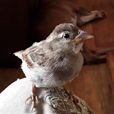 Bean And Stalk Bean And Stalk Added A New Photo — In