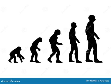 Vector Illustration Of Human Evolution Stock Vector Illustration Of Silhouette Evolution