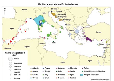 Distribution Of Mediterranean Mpas Relative Size Of Each Mpa Is Shown