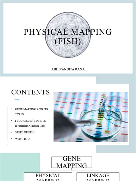 Physical Mapping Pdf