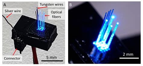 Optrode Array For Simultaneous Optogenetic Modulation And Electrical