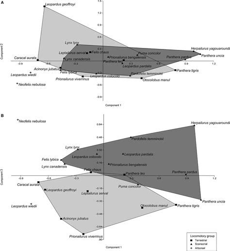 Pca Plots Of Pc1 9 Pc2 A And Pc1 9 Pc3 B Showing Species