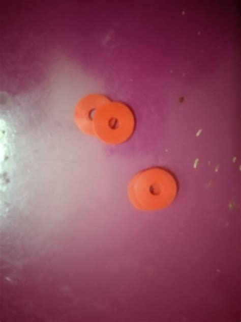 Cap Washer Rubber Cap Washer Latest Price Manufacturers And Suppliers