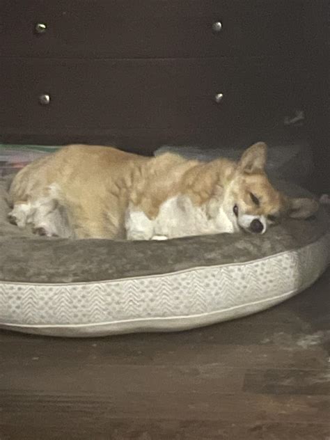 Sleeping | Scrolller