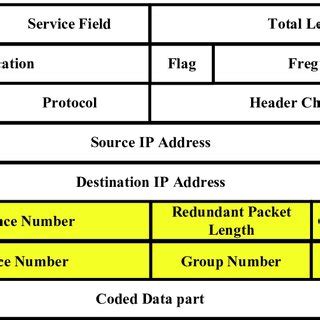 Customized Header Format In IP Packet Download Scientific Diagram