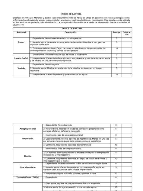 Índice De Barthel Descargar Gratis Pdf Medicina Especialidades Medicas