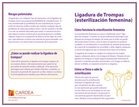 Esterilizaci N Femenina